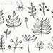 Nature Walk Collection Watercolors, - Etsy