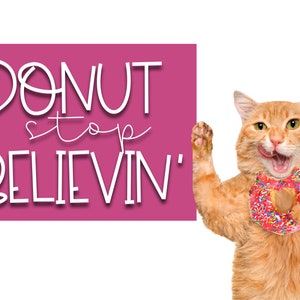 Sprinkled Donut Font - Fun Handwritten Font, Cricut Font, Fonts for ...