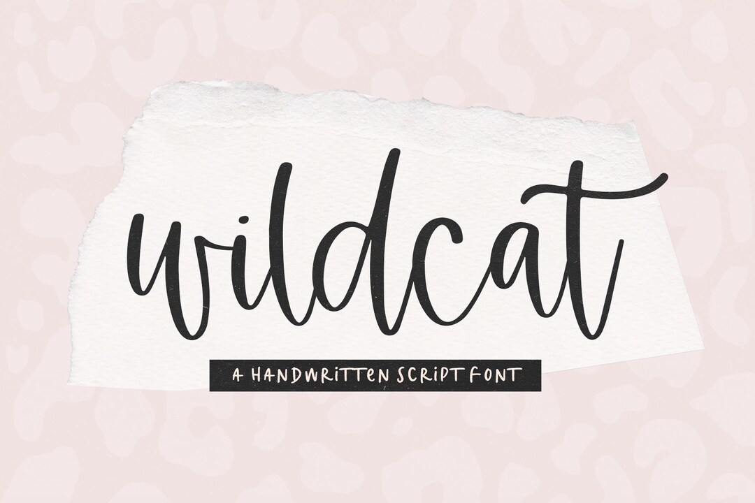 Wildcat Font - Handwritten Script Font, Cricut Fonts, Procreate Font ...