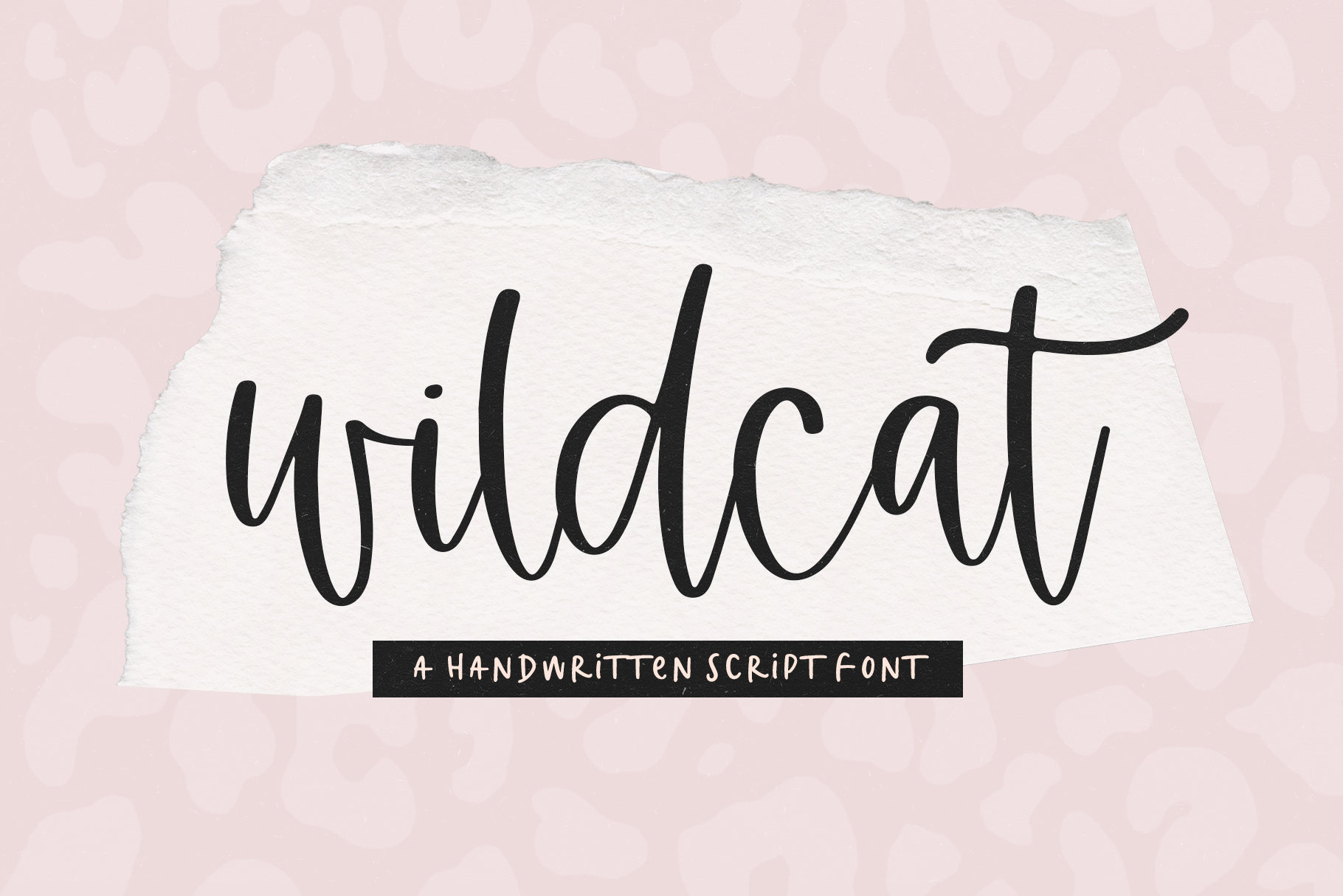 Wildcat Font Handwritten Script Font Cricut Fonts - Etsy