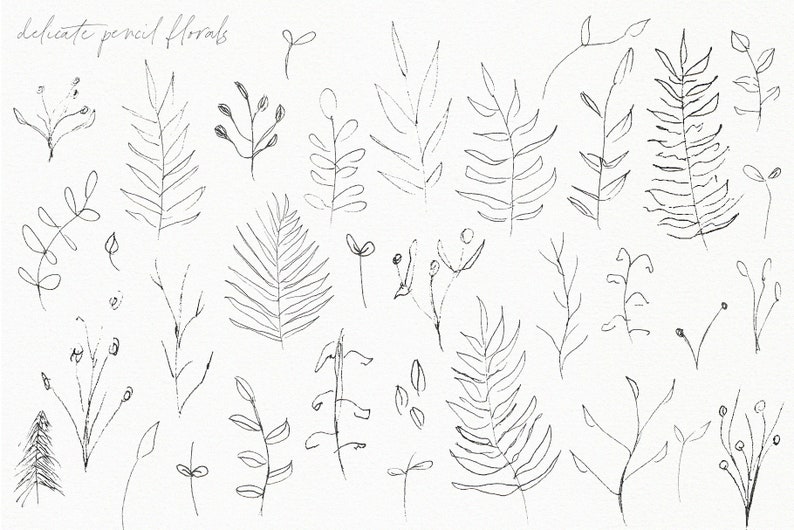 Nature Walk Collection - Watercolors, - Etsy