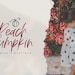 Fall Harvest Font A Handwritten Brush Font With Doodles TTF / OTF - Etsy