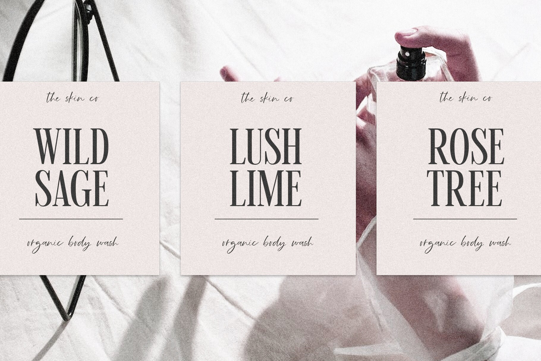 Wild Dove Font - Serif Font, Modern Font, Stylish Font, Classy Fonts ...