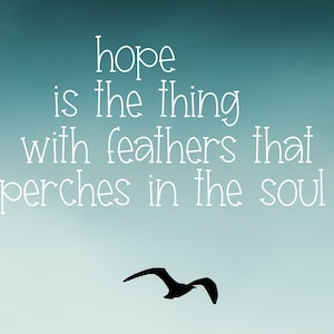 Seagull - A Handwritten Font - TTF / OTF - Etsy