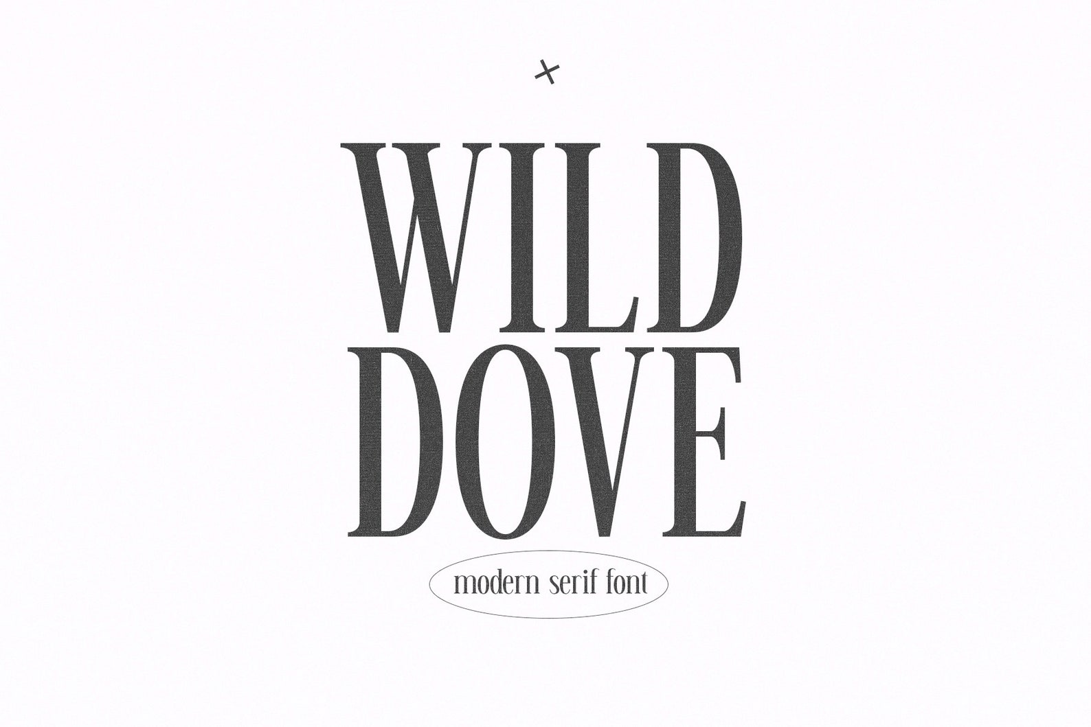 Wild Dove Font - Serif Font, Modern Font, Stylish Font, Classy Fonts ...
