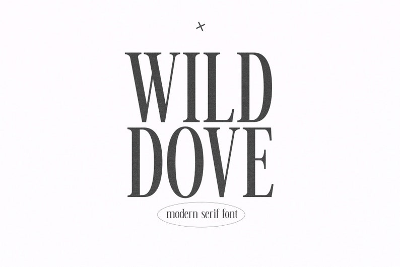 Wild Dove Font - Serif Font, Modern Font, Stylish Font, Classy Fonts ...