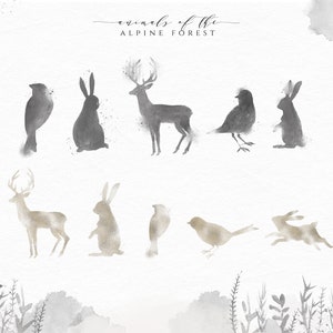 Alpine Forest - Watercolor Alphabet & Animal Elements - Frames ...
