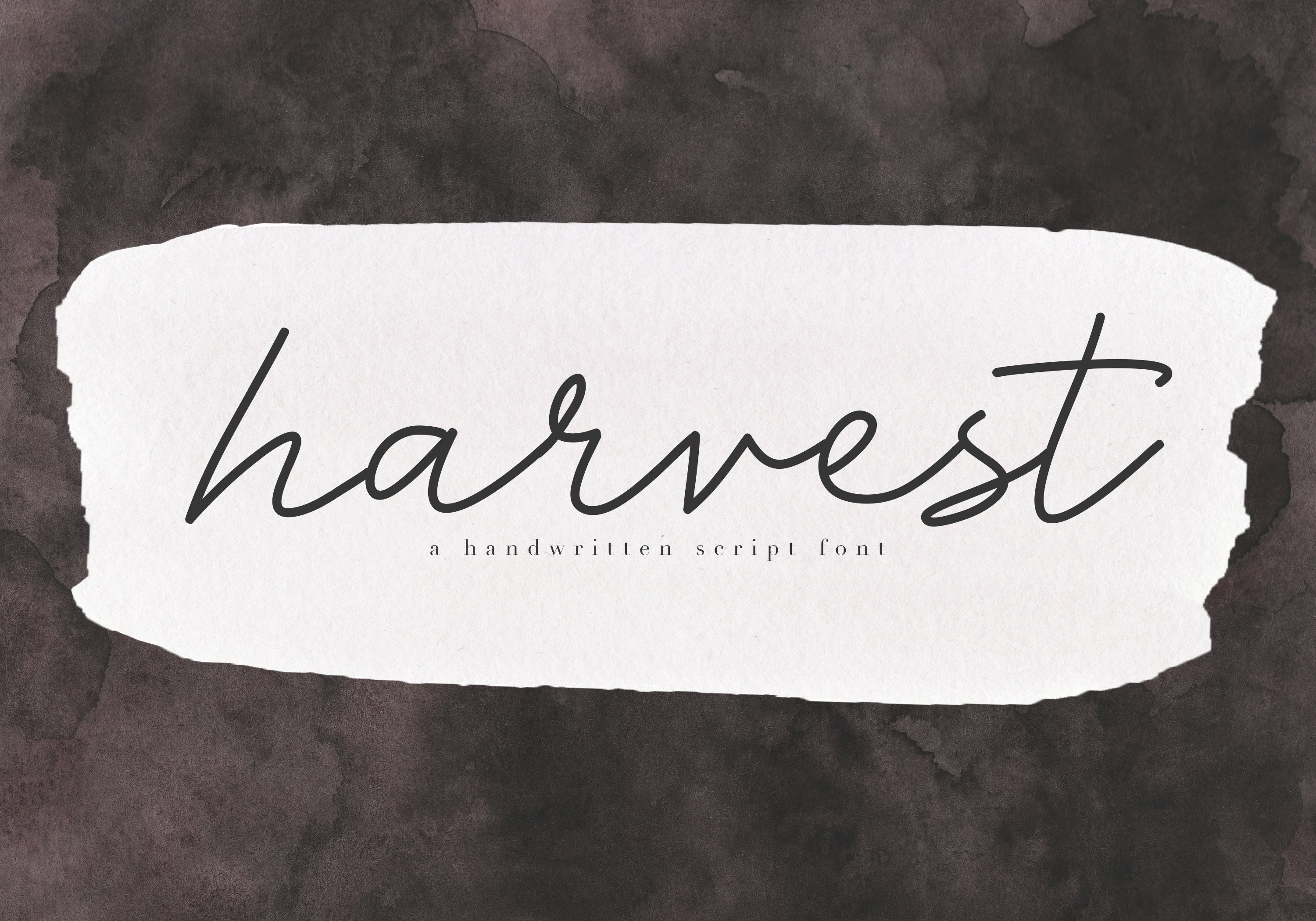 Bdscript Font - Etsy