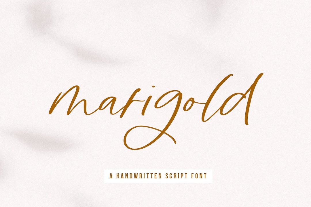 Marigold Font - Modern Handwritten Script, Wedding Font, Brush Font, Calligraphy, Elegant Font ...