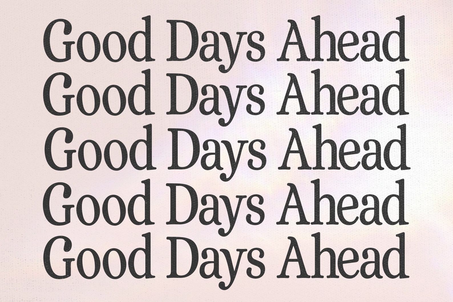 Absolute Font Serif Font Modern Font Stylish Font Classy - Etsy