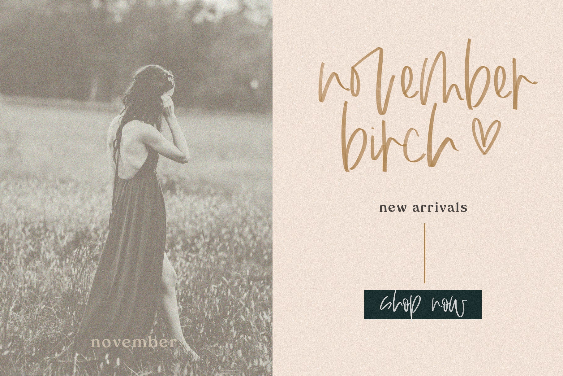 Always Font - A Handwritten Signature Script Font, Modern Calligraphy ...