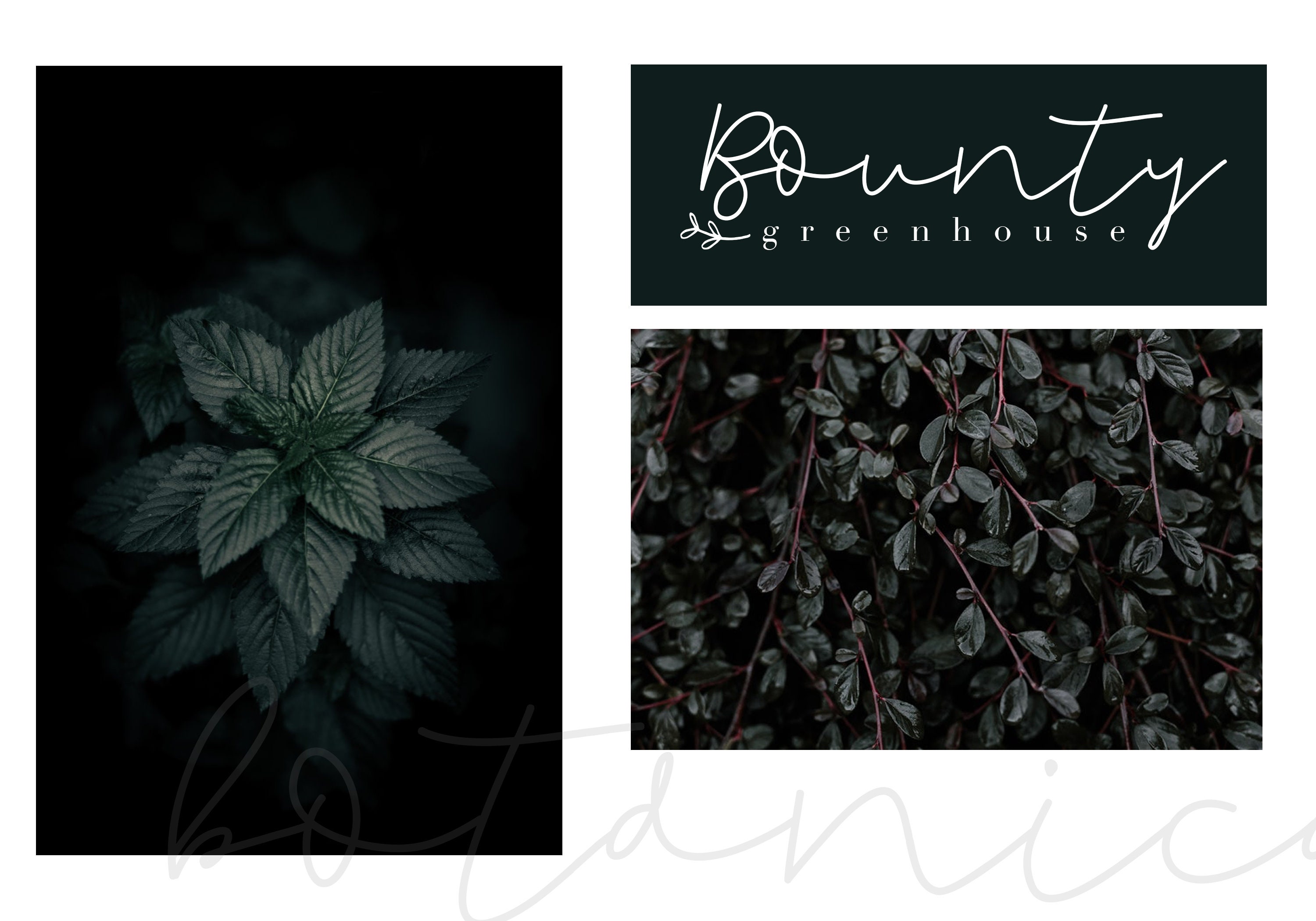 Mason Handwritten Signature Font TTF / OTF - Etsy