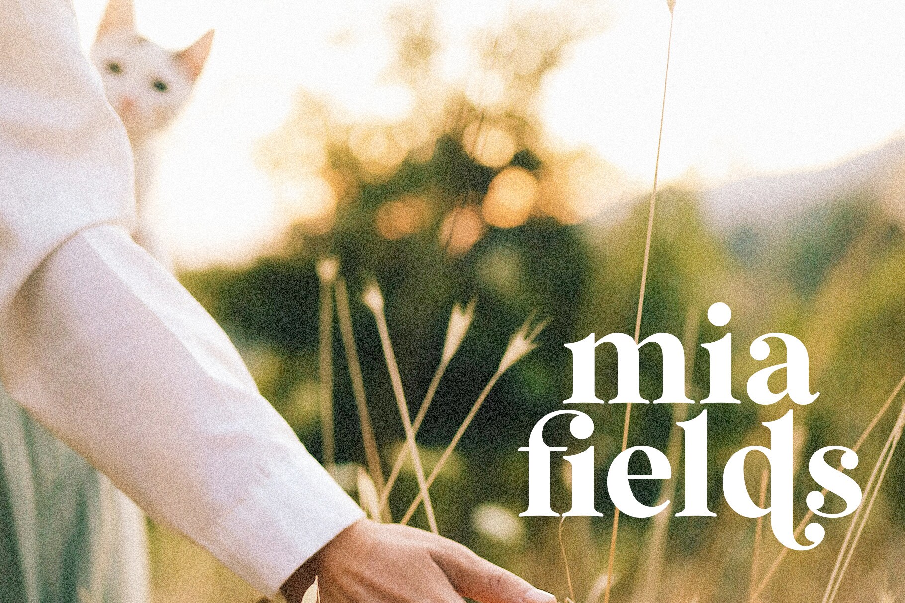 Wild Mango Font Serif Font Modern Font Boho Font Branding | Etsy