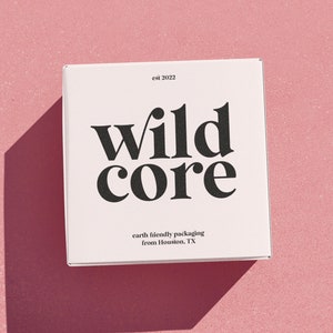 Wild Mango Font - Serif Font, Modern Font, Boho Font, Branding Font ...