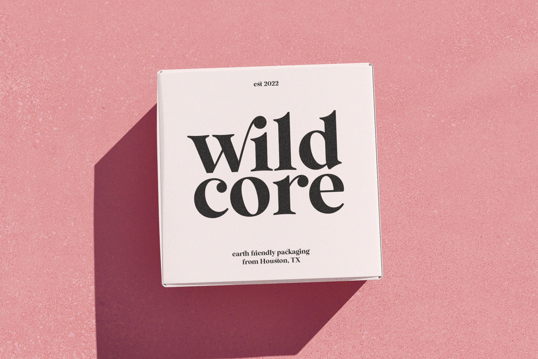 Wild Mango Font Serif Font Modern Font Boho Font Branding - Etsy