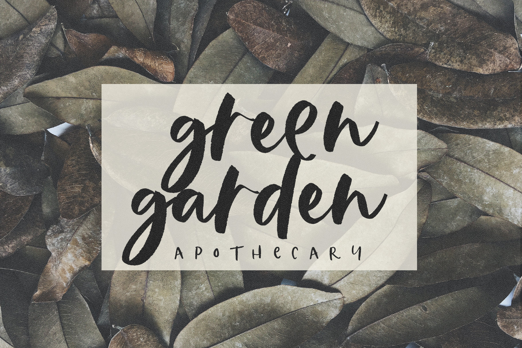 The Coast Font - Bold Handwritten Script Font - With Extra Doodle Font ...
