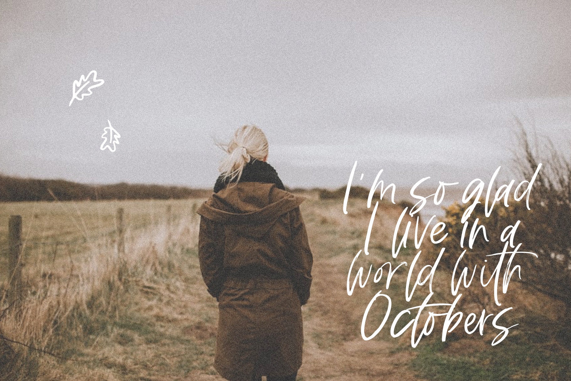 Fall Harvest Font A Handwritten Brush Font With Doodles | Etsy