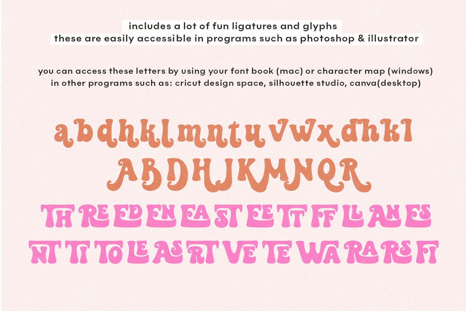 Limited Edition Font - Retro Font, Modern Font, Boho Font, Branding ...