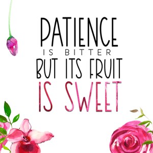 Very Berry Smoothie - Tall and Capital Font - TTF - Etsy