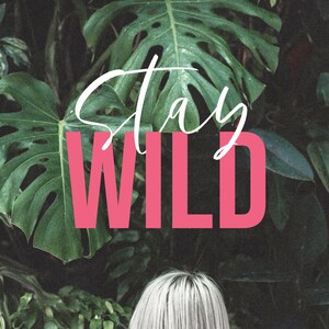 Smitten Font - A Modern Handwritten Script Font, Brush Font, Modern ...