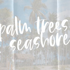 Island Tea A Chic Handwritten Brush Font TTF / OTF - Etsy