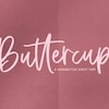 Blissfully Font - Handwritten Script Font, Cricut Font, Cursive Font ...