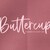 Blissfully Font - Handwritten Script Font, Cricut Font, Cursive Font ...
