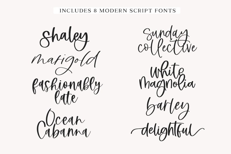 Mini Modern Script Font Bundle Part TWO Handwritten Fonts - Etsy