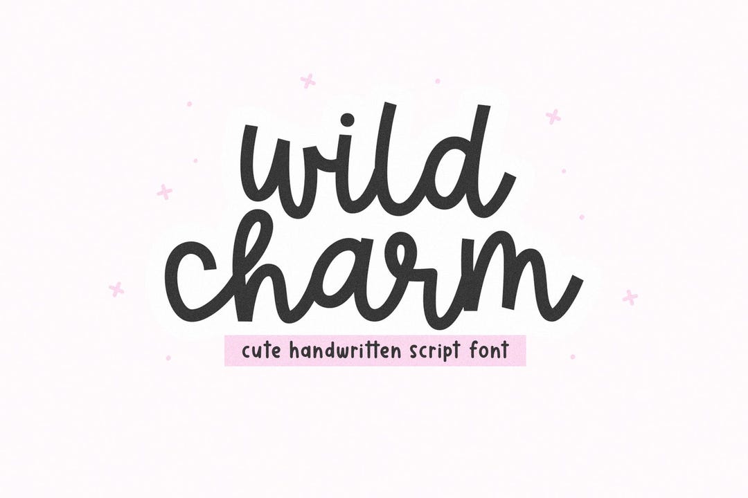 Wild Charm Font - Script Font, Cricut Font, Modern Font, Fonts for ...