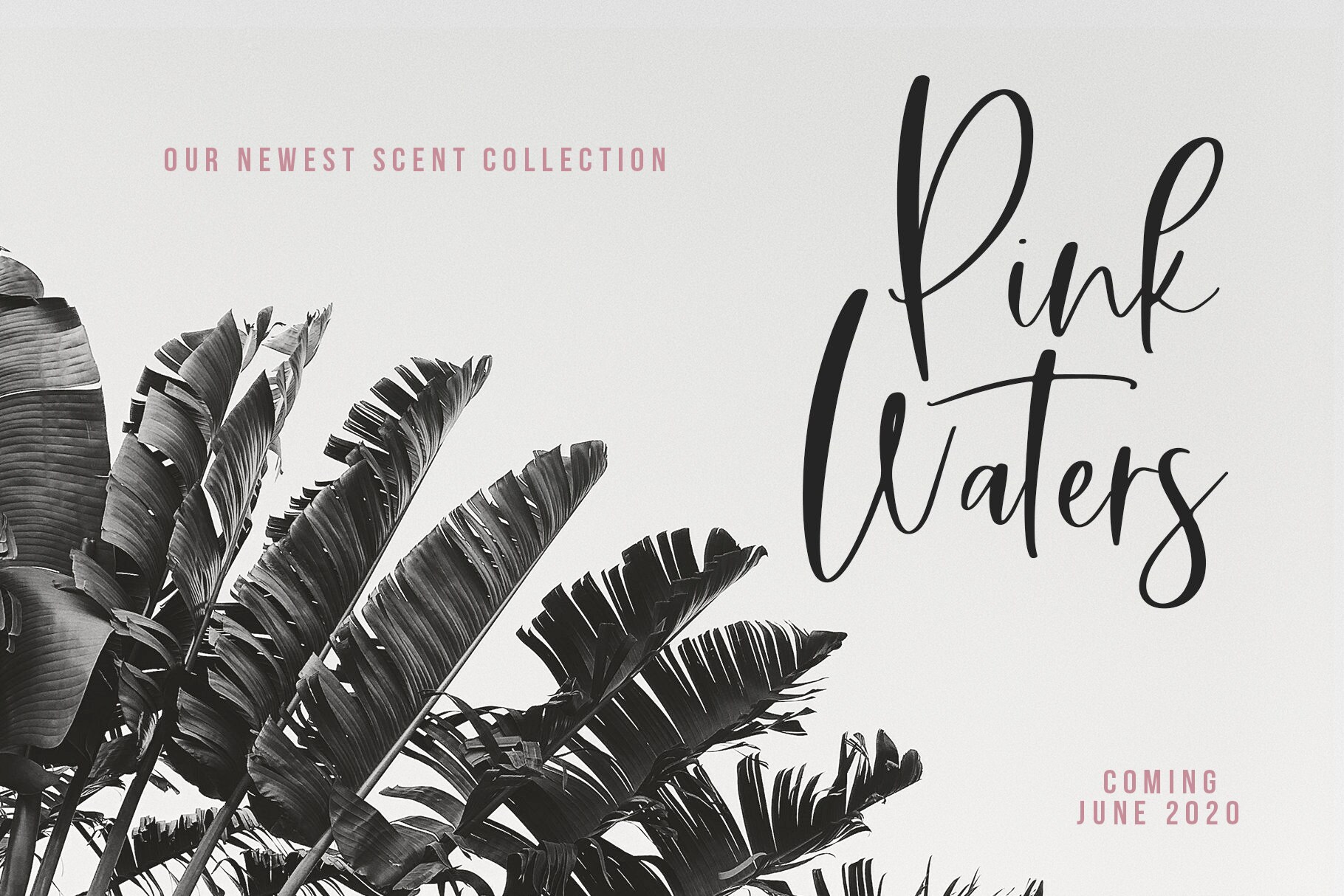 Charmed Font Modern Handwritten Script Font Procreate Font - Etsy