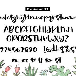 Sassy - A Bold Handwritten Script Font - TTF / OTF - Etsy