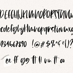 Island Tea A Chic Handwritten Brush Font TTF / OTF - Etsy