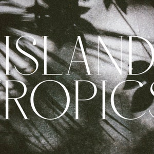 The Resort Font - Serif Font, Modern Font, Stylish Font, Classy Font ...