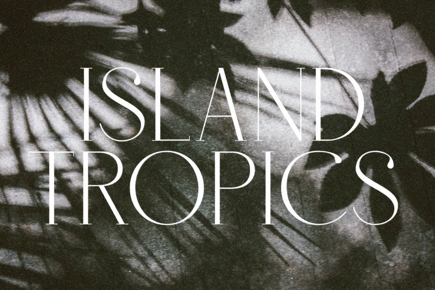 The Resort Font Serif Font Modern Font Stylish Font - Etsy