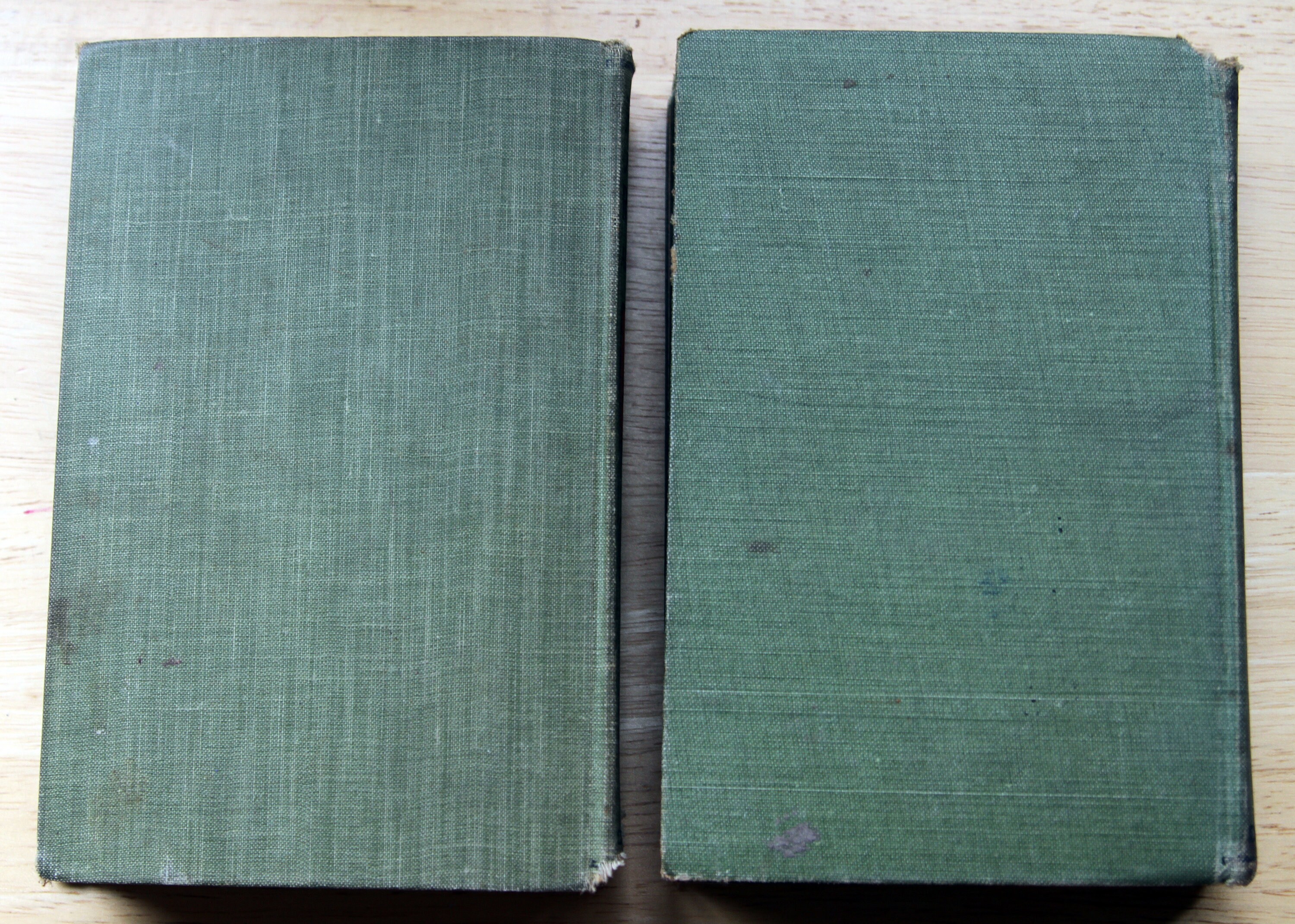 1910s TWO Horatio Alger Jr. Books Risen in the Ranks and Paul the ...