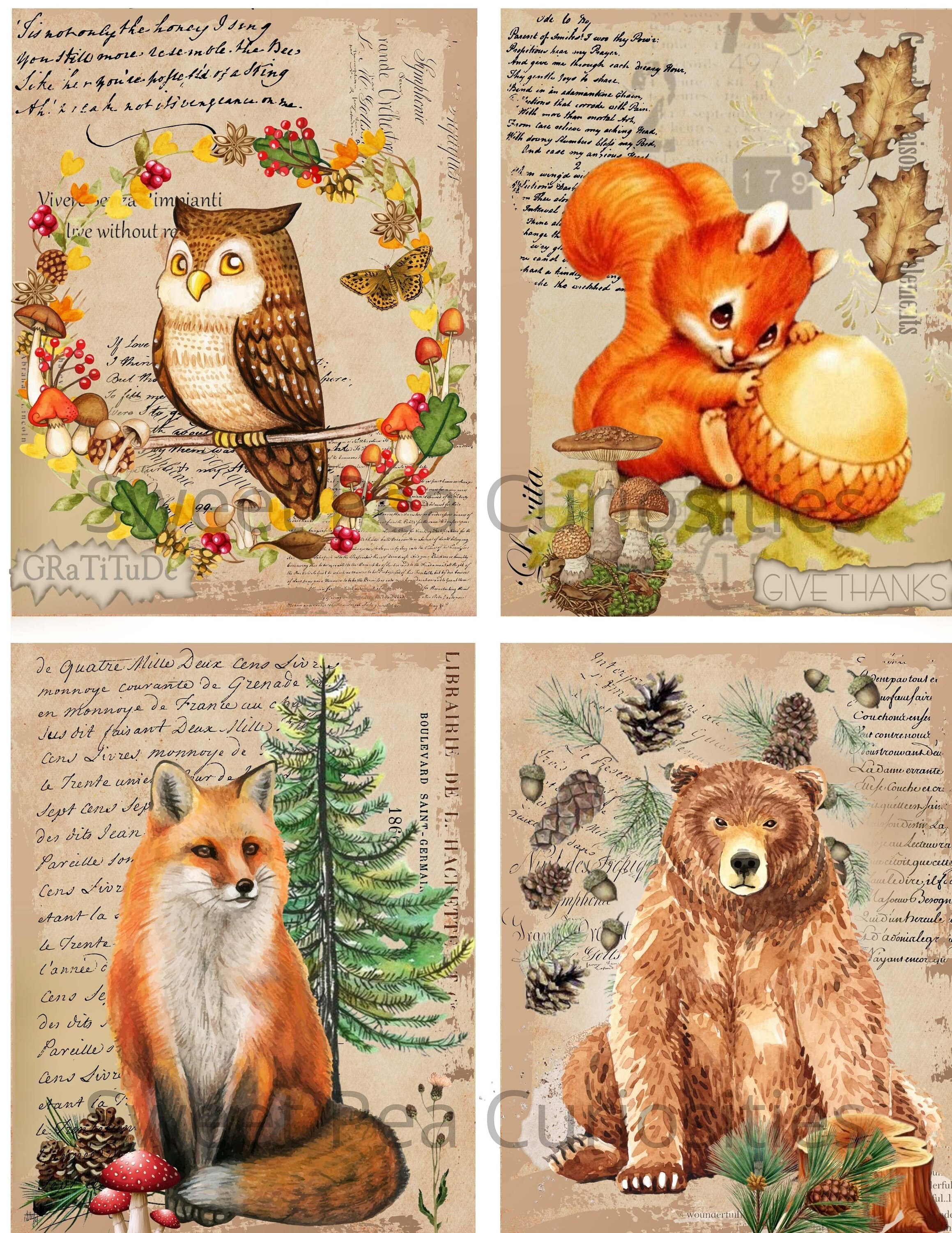 Junk Journal Kit Collage Paper Junk Journal Mixed Media - Etsy