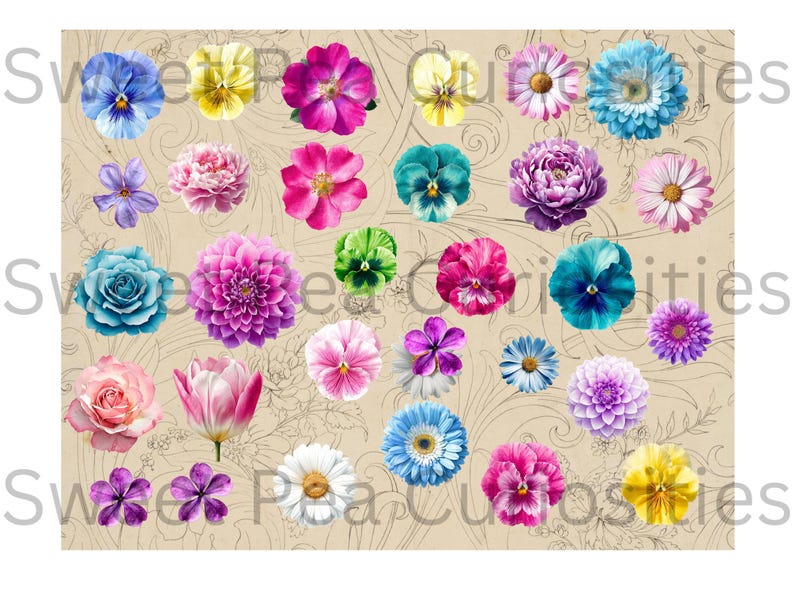 Flower Kit , Over 100+ Flowers, Fussy Cut Ephemera, Journal Decoration ...