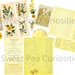 Yellow Ephemera, Collage Paper, Junk Journal, Mixed Media, Ephemera ...