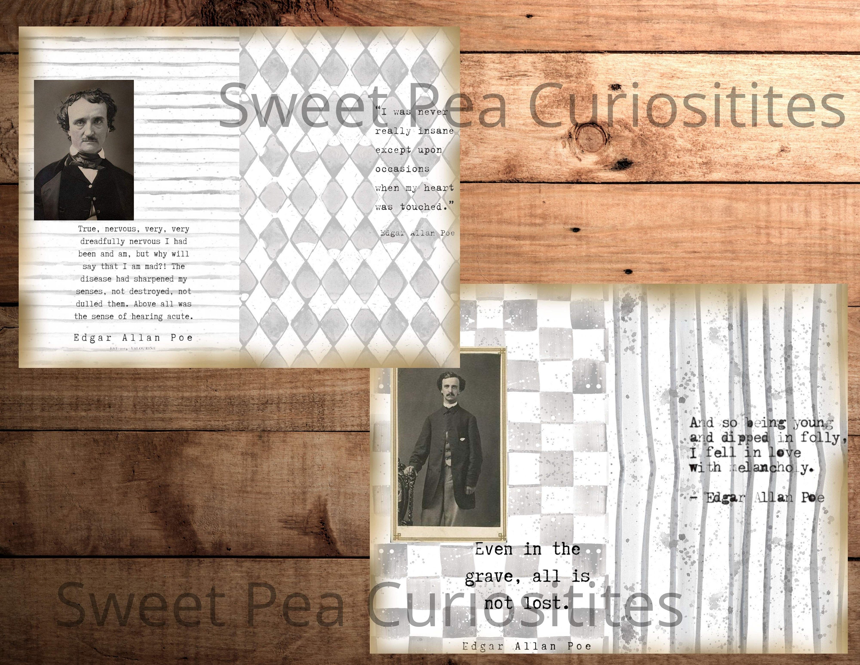 Junk Journal Kit Collage Paper Junk Journal Mixed Media - Etsy