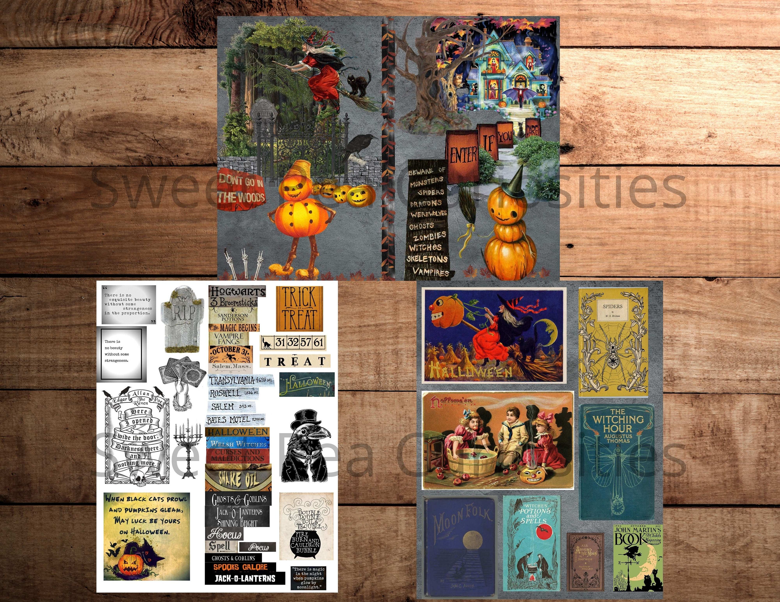 Junk Journal Kit, Collage Paper, Junk Journal, Mixed Media, Ephemera ...