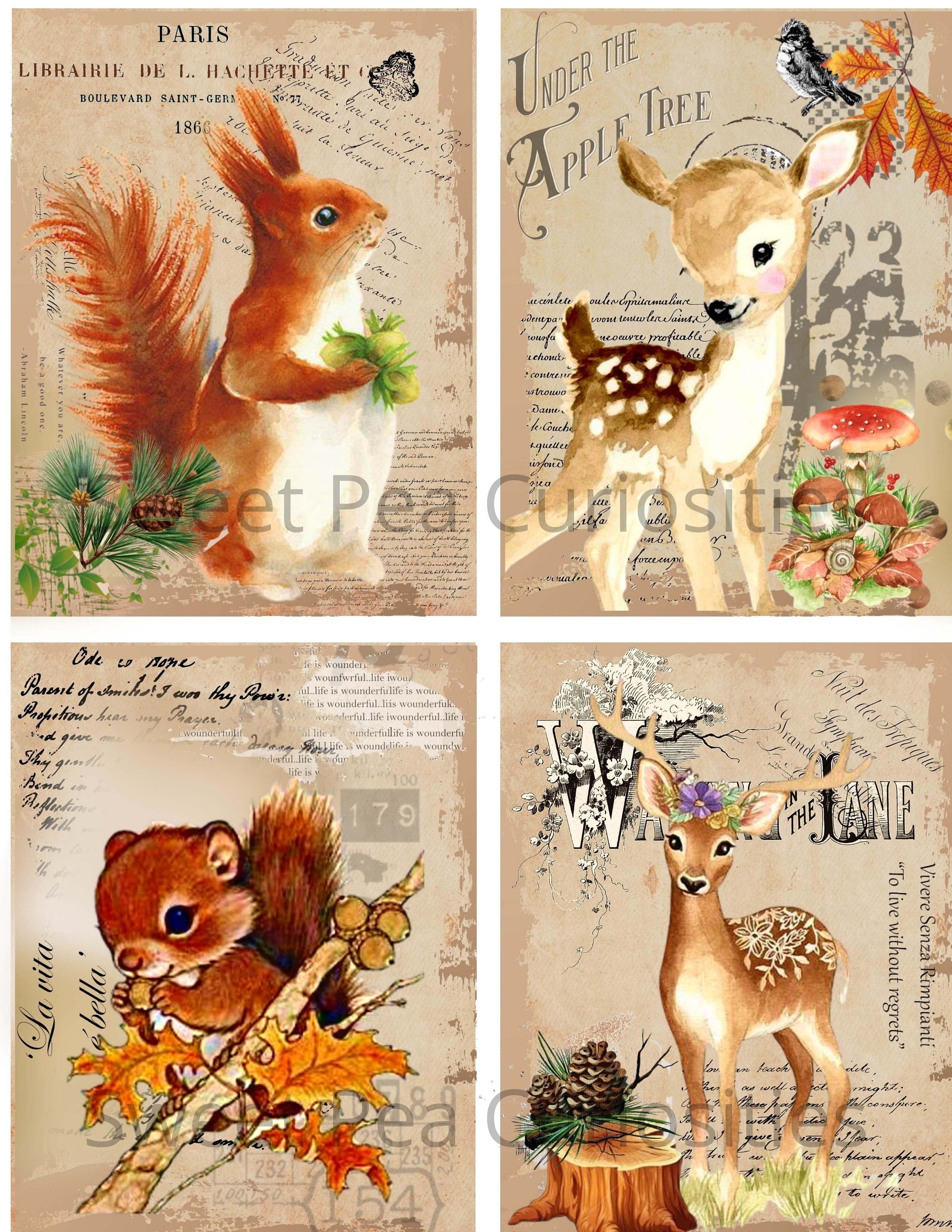 Junk Journal Kit Collage Paper Junk Journal Mixed Media - Etsy