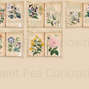 Flower Book, Digital, Download, Printable, Junk Journal, Supplies ...