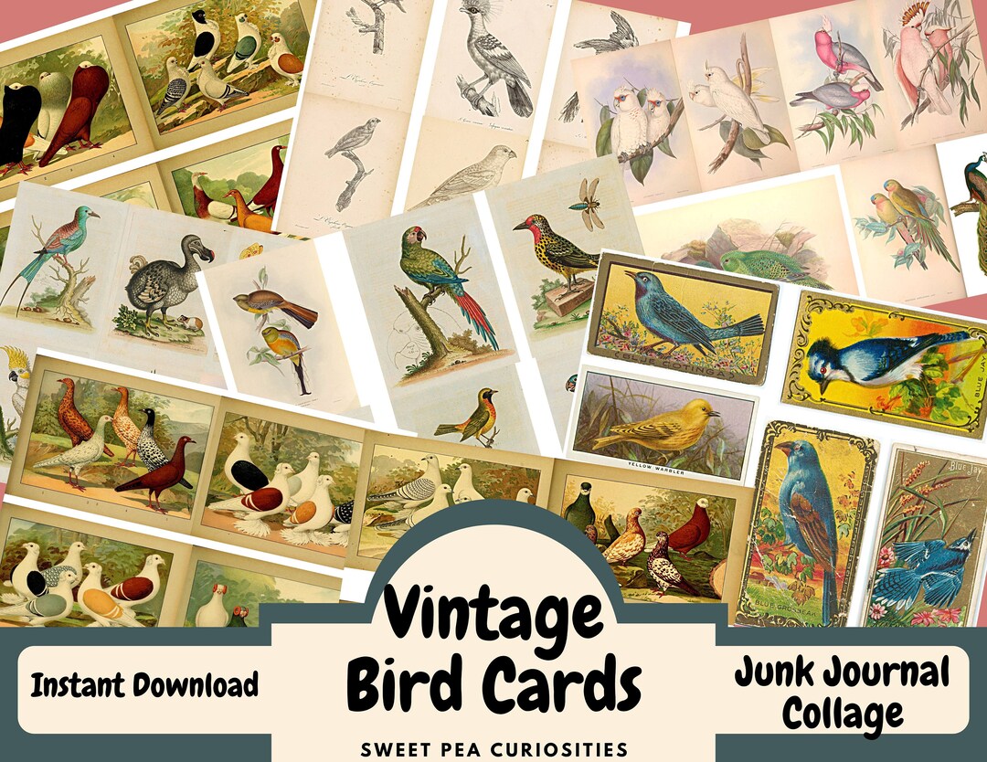 Vintage Bird Cards, Digital, Download, Printable, Junk Journal ...