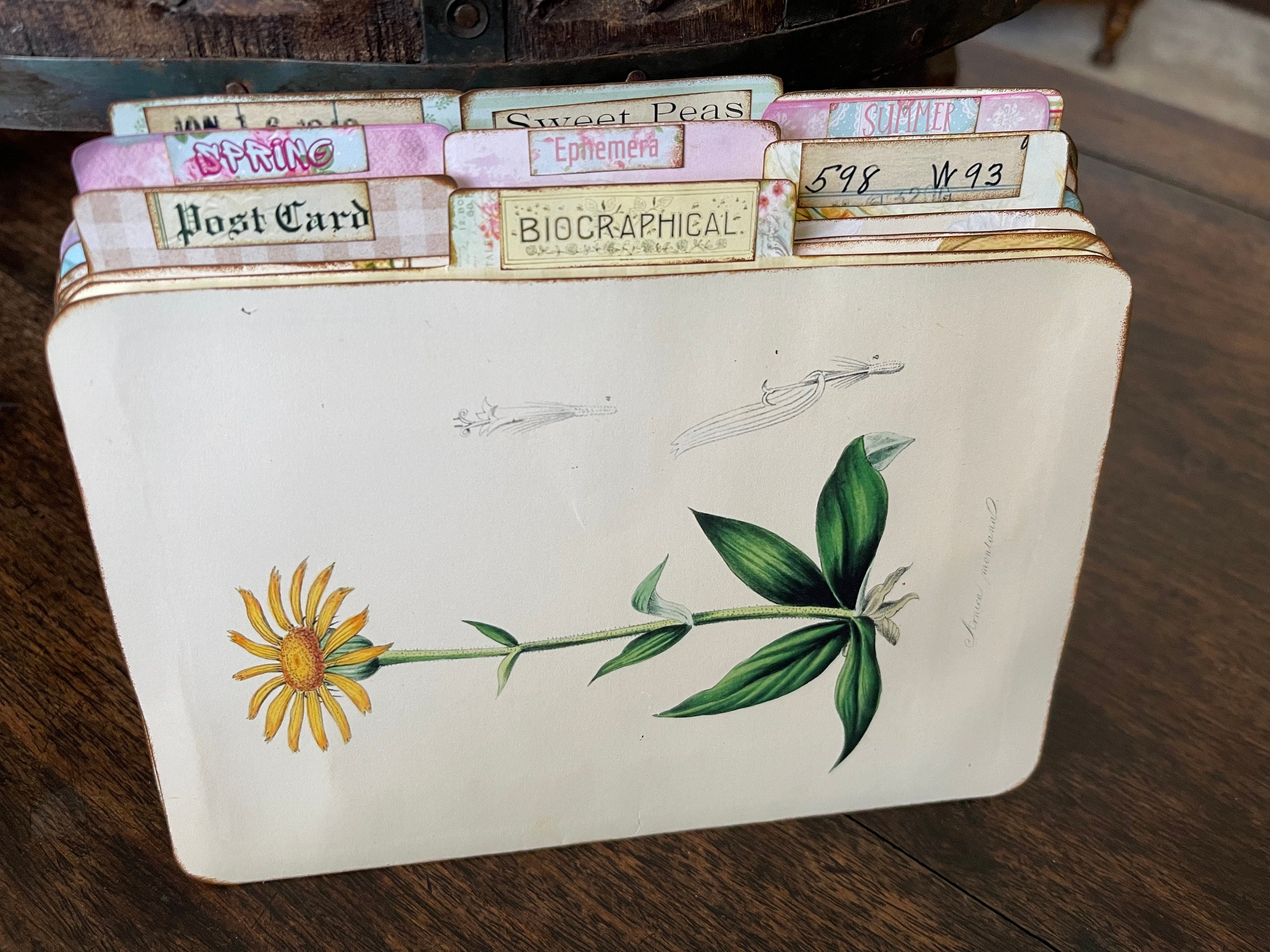 Pharmaceutical Folders for sale | Only 4 left at -60%