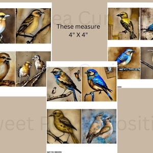 Junk Journal, Printable, Download, Digital, Papers, Birds, Grunge, Pack ...