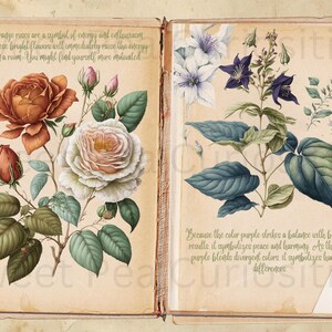 Flower Book, Digital, Download, Printable, Junk Journal, Supplies ...