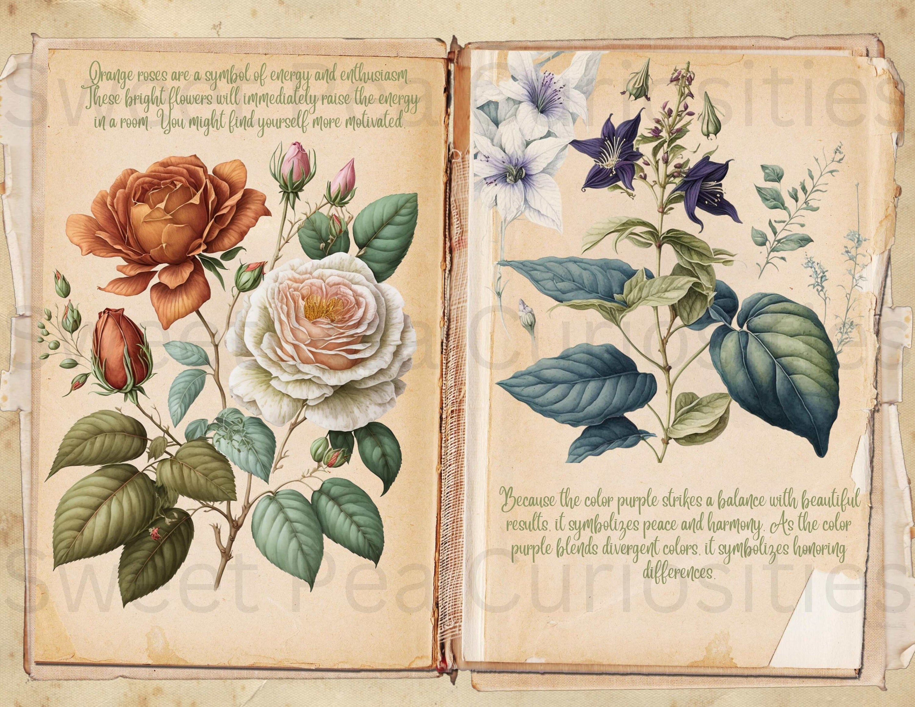 Flower Book, Digital, Download, Printable, Junk Journal, Supplies ...