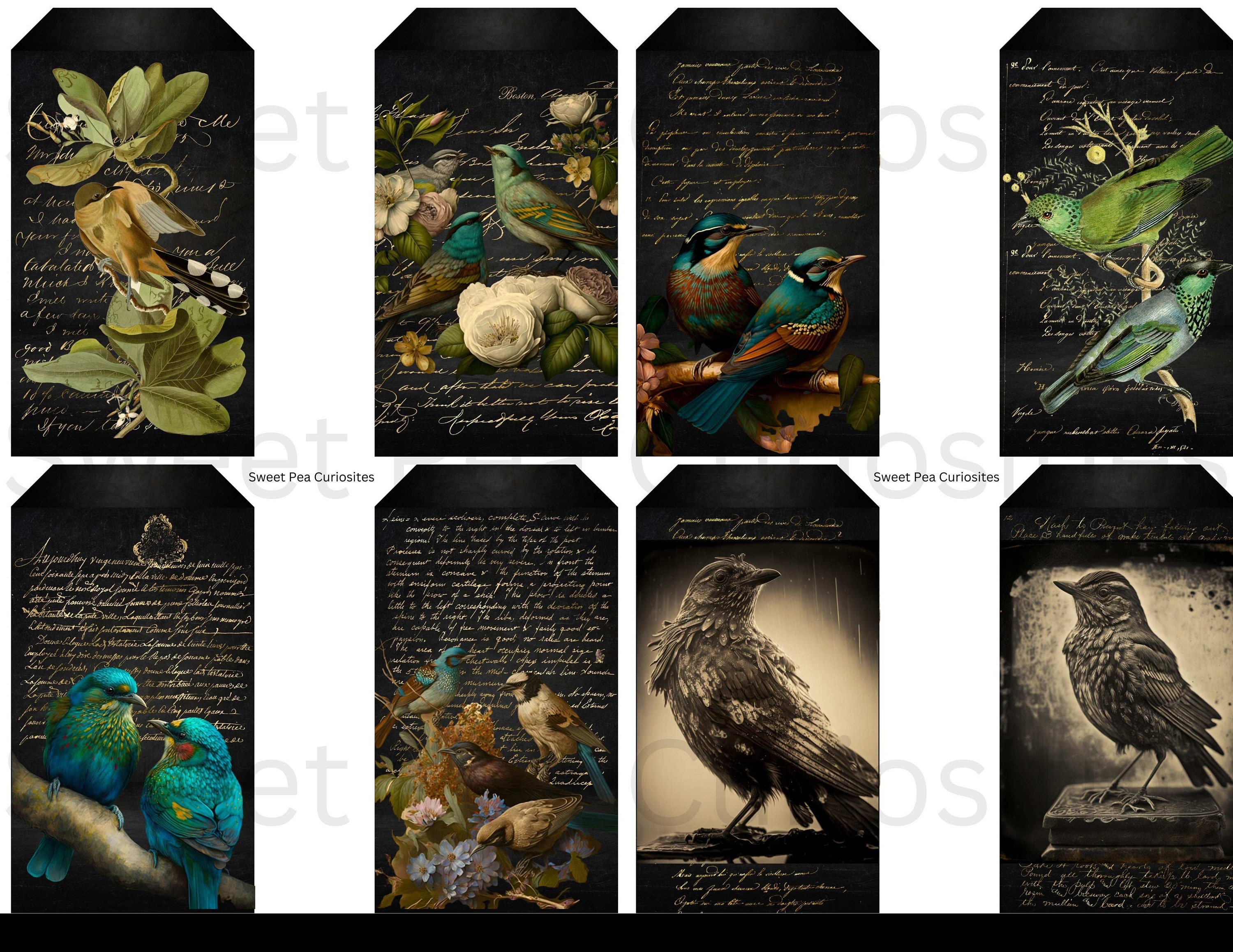 Birds Paper Digital Download Printable Tags Junk - Etsy