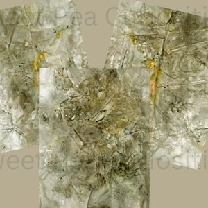 Green Alchemy Papers, Eco, Digital, Download, Printable, Junk Journal ...