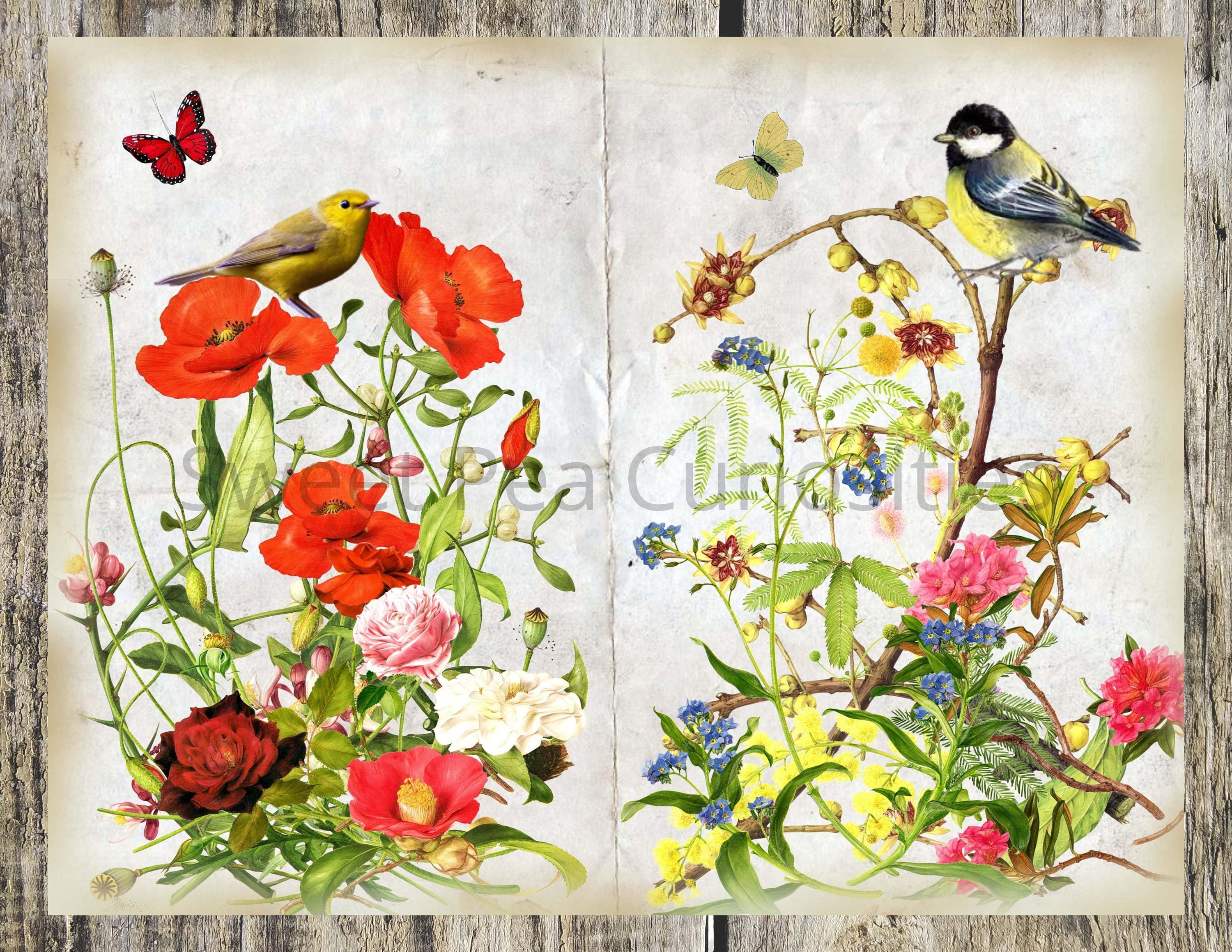 Junk Journal Kit Collage Paper Junk Journal Mixed Media - Etsy